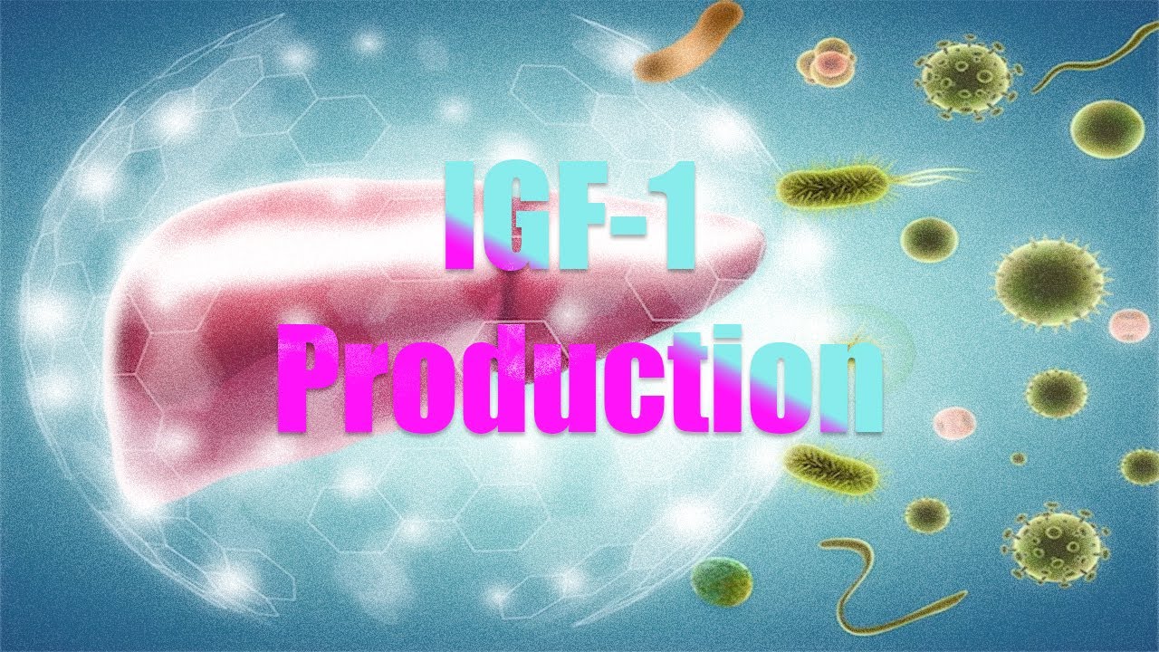 IGF-1 Production - Energetic Programming - YouTube