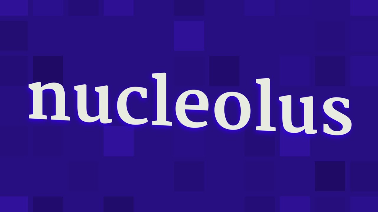 NUCLEOLUS pronunciation • How to pronounce NUCLEOLUS - YouTube