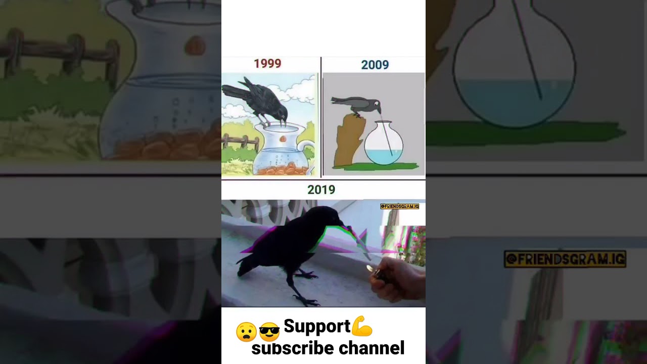 😎crow evolution in this life - YouTube
