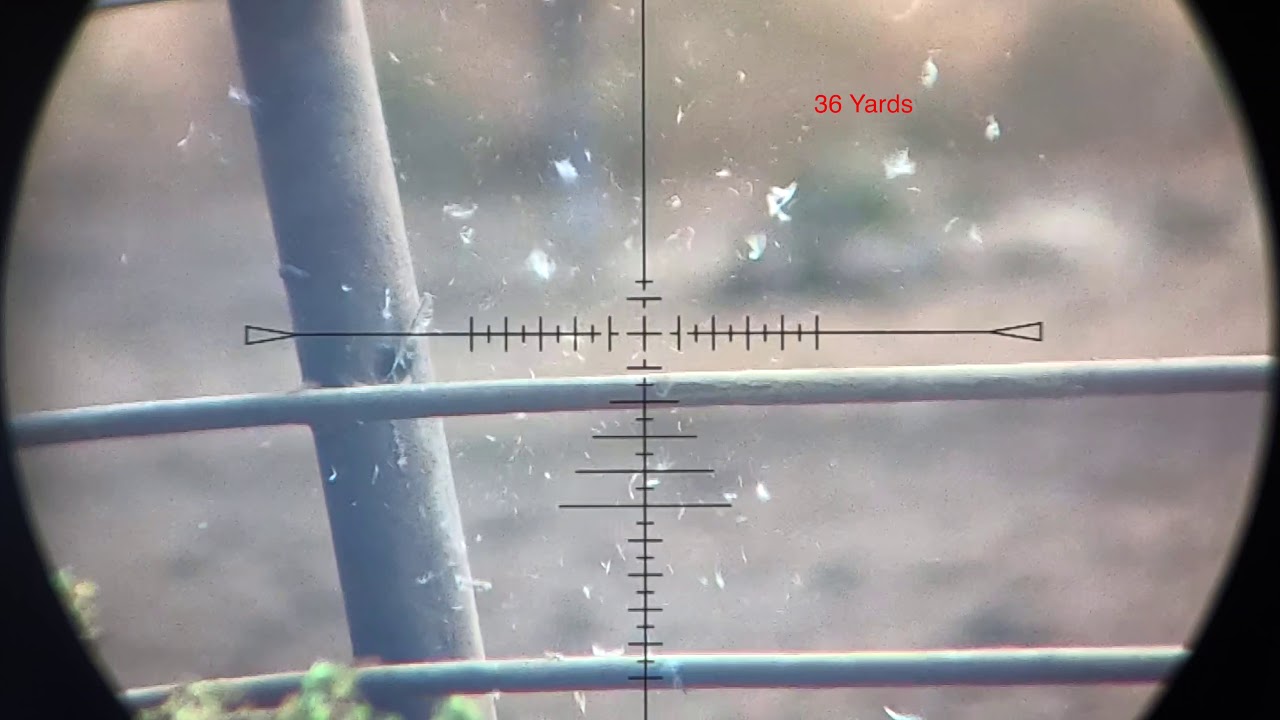 FX Airgun Slug Hunt (Varmint Knocker Slugs) - YouTube