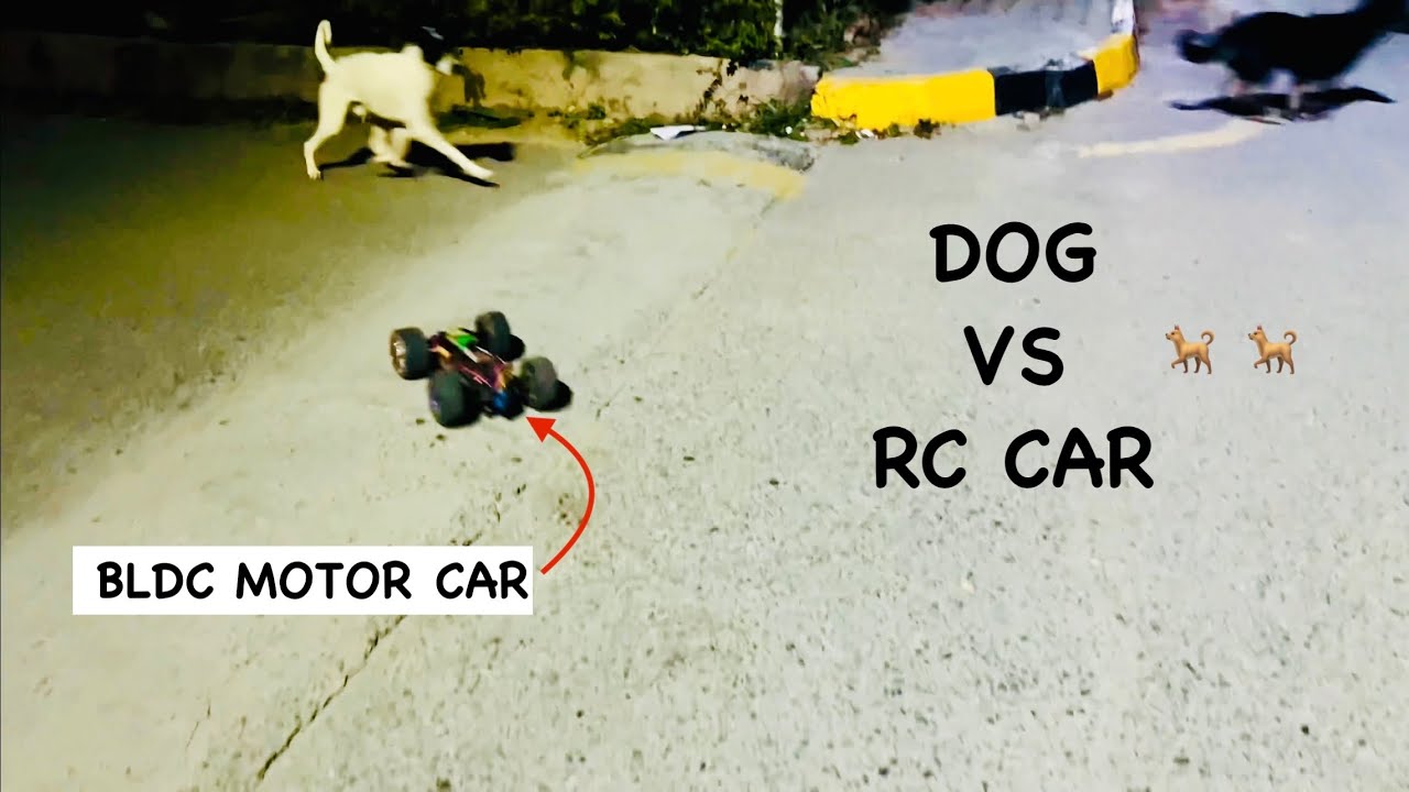 🔥 Insane Speed of Bldc Motor Rc Car | Dogs vs Rc Car/Truck | Speed ...
