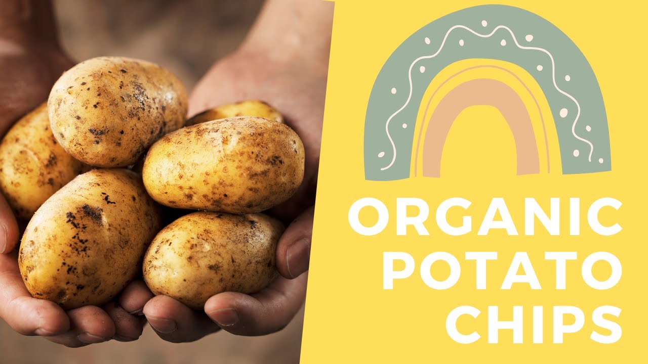 EASY AND SIMPLE 5MINS ORGANIC POTATO CHIPS, HEALTHY AND HOME MADE - YouTube