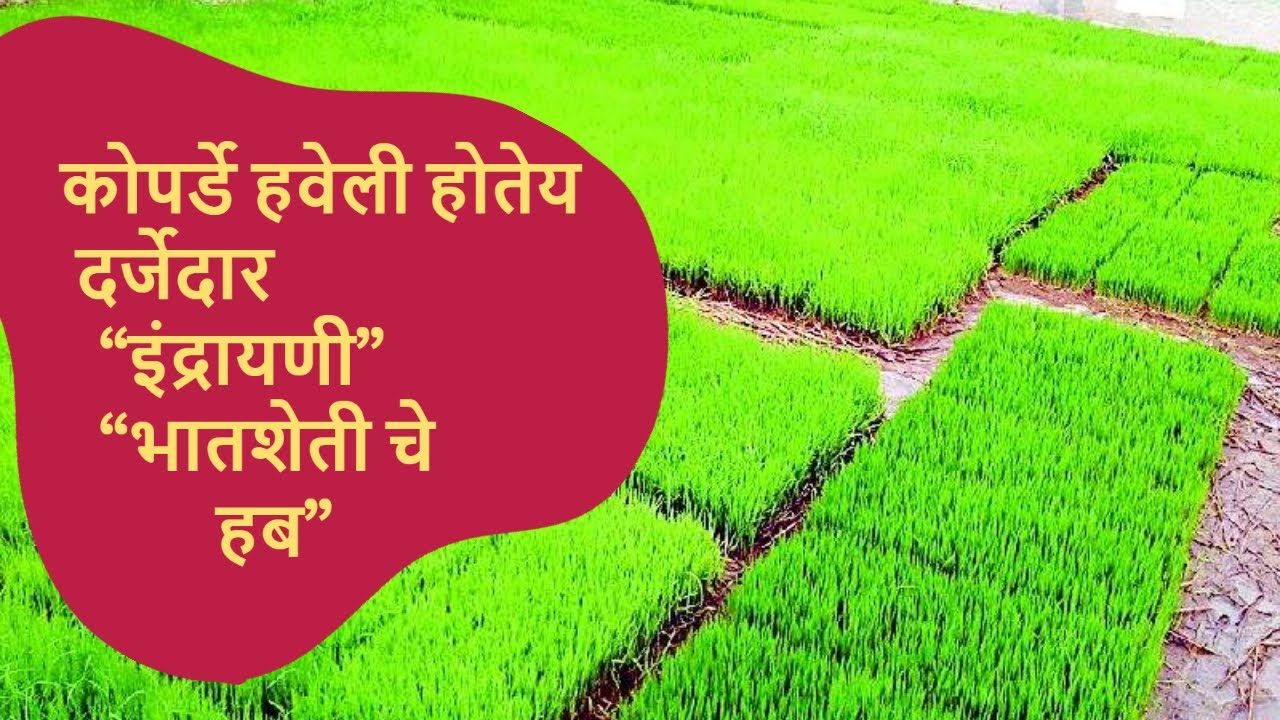 Karad Koparde Haveli Bhat Sheti Stroy कोपर्डे हवेली होतेय दर्जेदार ...