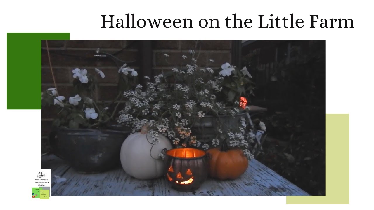 The Little Farm's Halloween - YouTube