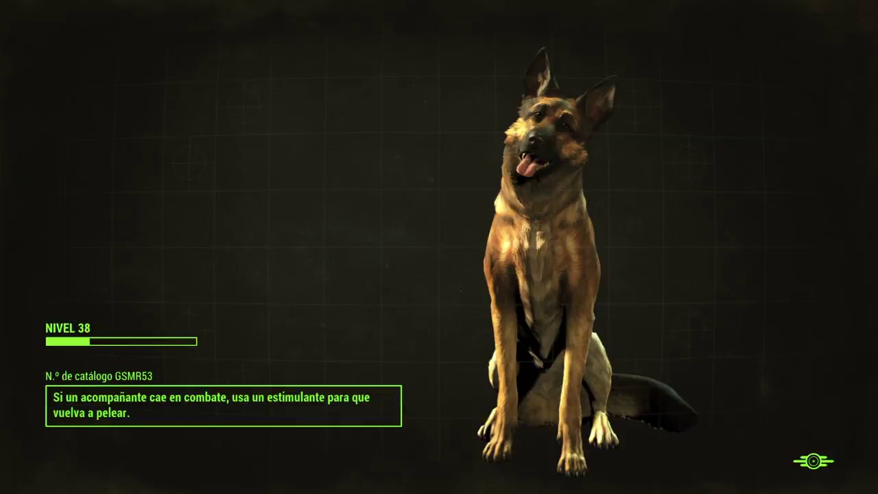 Fallout 4 | Dando explicaciones - YouTube