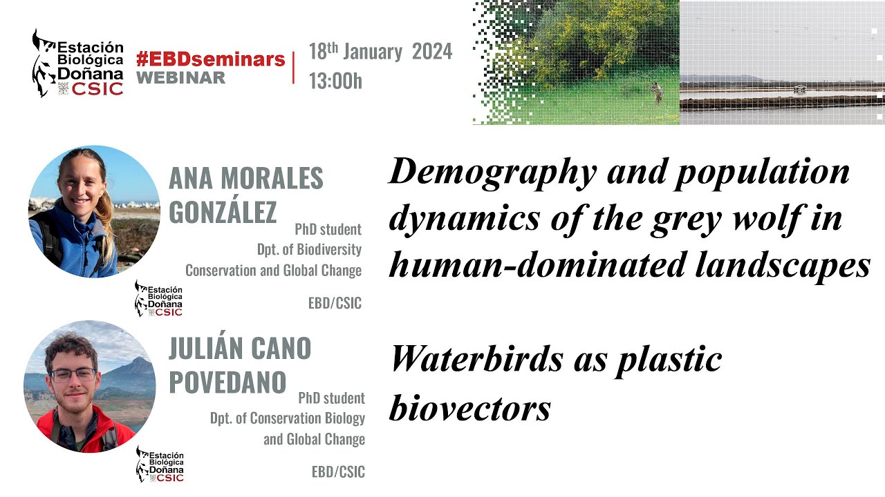 EBD Seminars | Ana Morales González y Julián Cano Povedano - YouTube