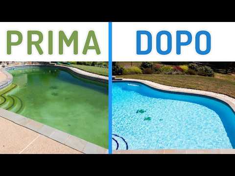 Da acqua verde a piscina limpida e cristallina (in 10 passi)