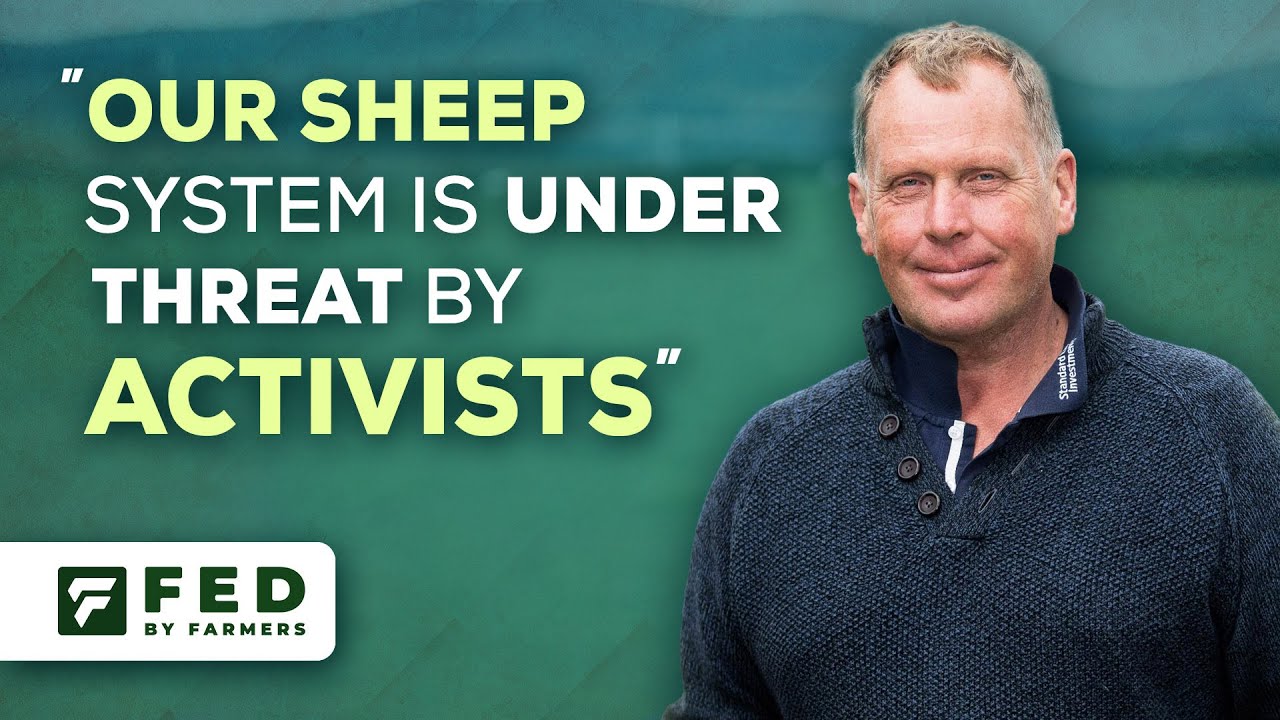 Derek Hall - Sheep Stratification - YouTube