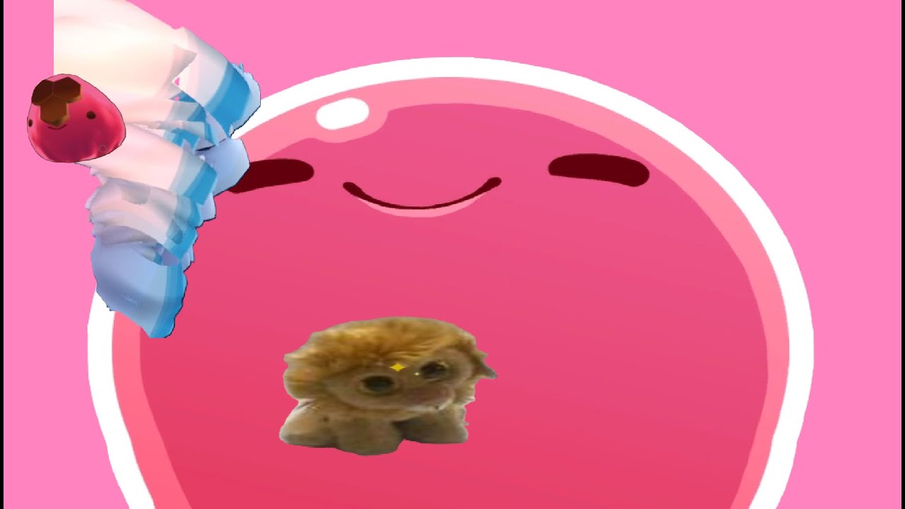 I Got Every Pink Largo In Slime Rancher - YouTube