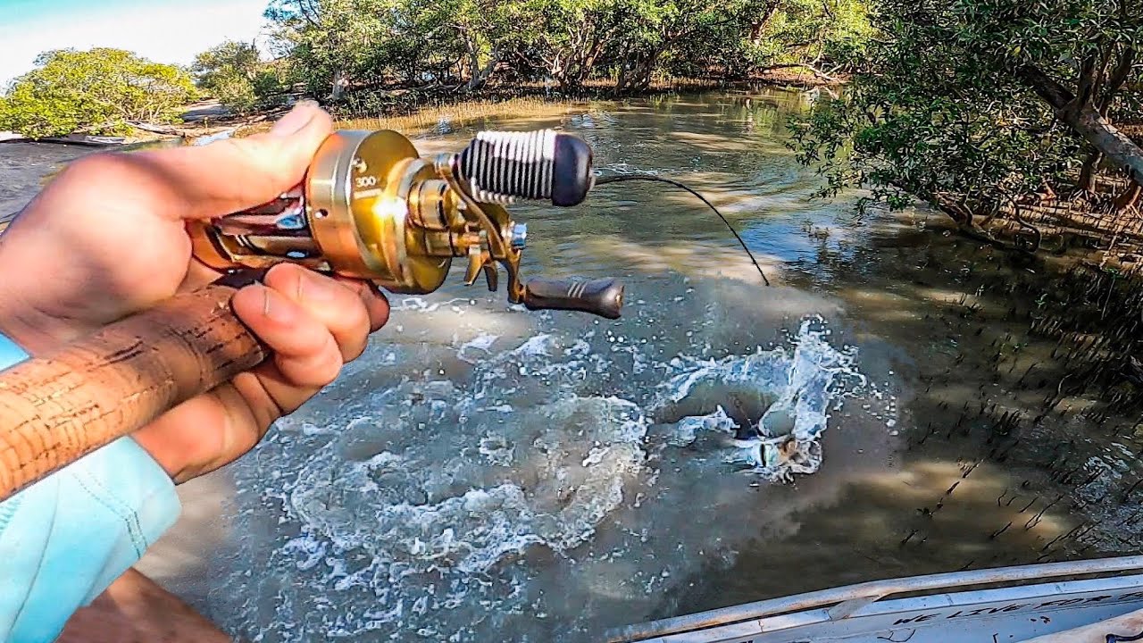 Barramundi and crocs in outback Australia *DIY ROD TUBE build* - YouTube