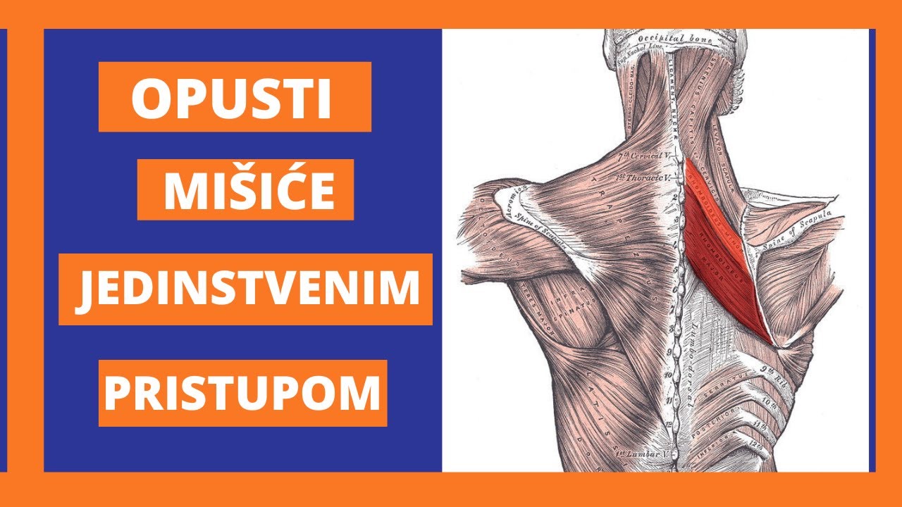 Bolovi između lopatica ( INSTANT OLAKŠANJE) - YouTube