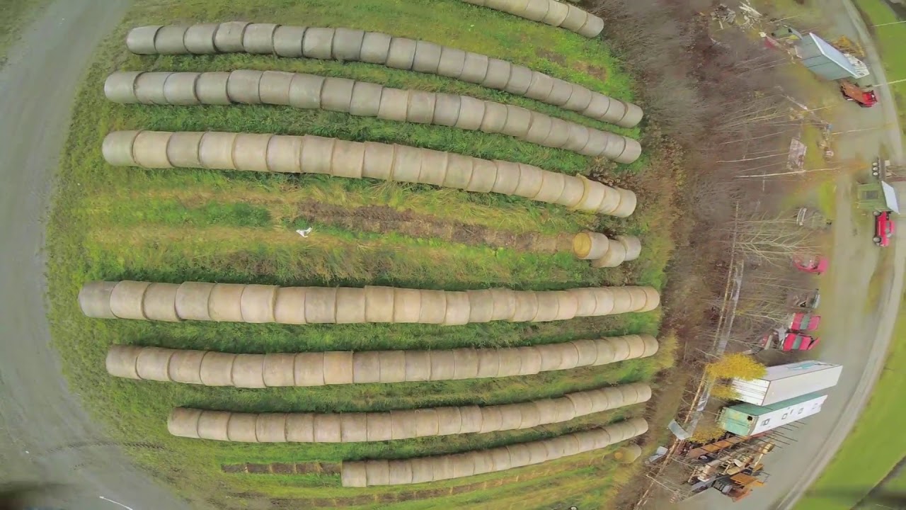 Cold saturday! - YouTube