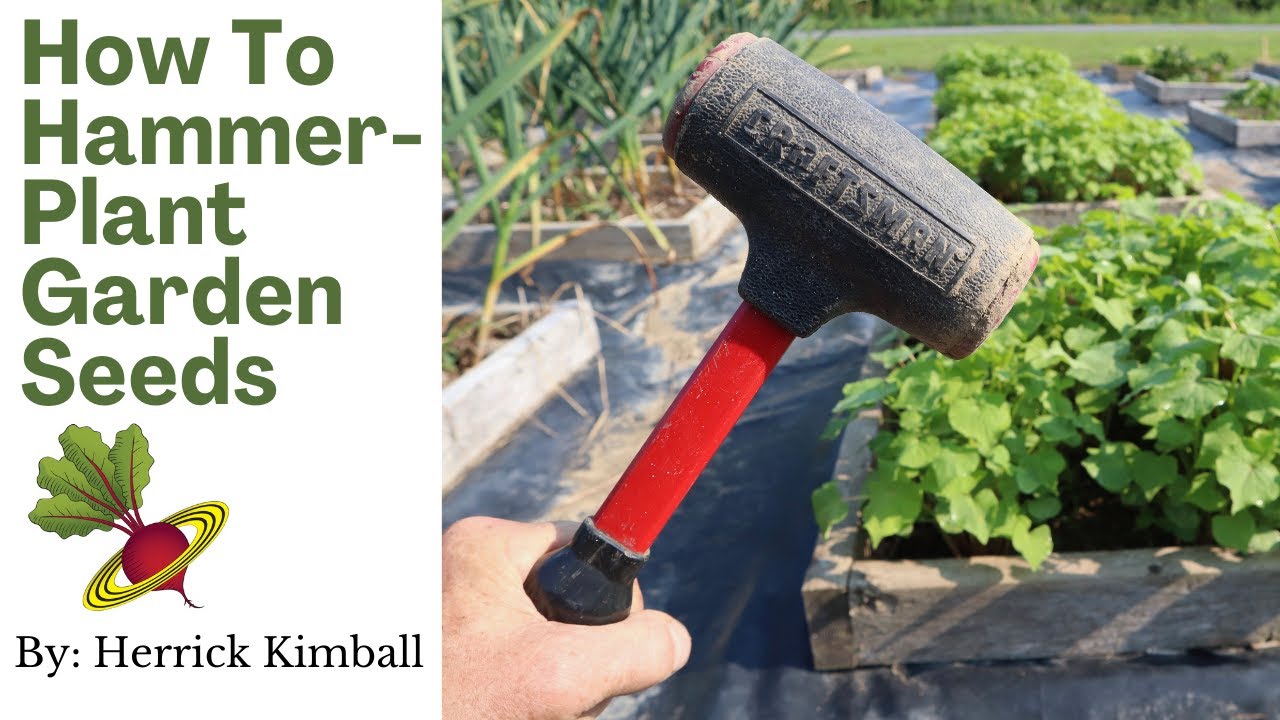How To Hammer-Plant Garden Seeds - YouTube