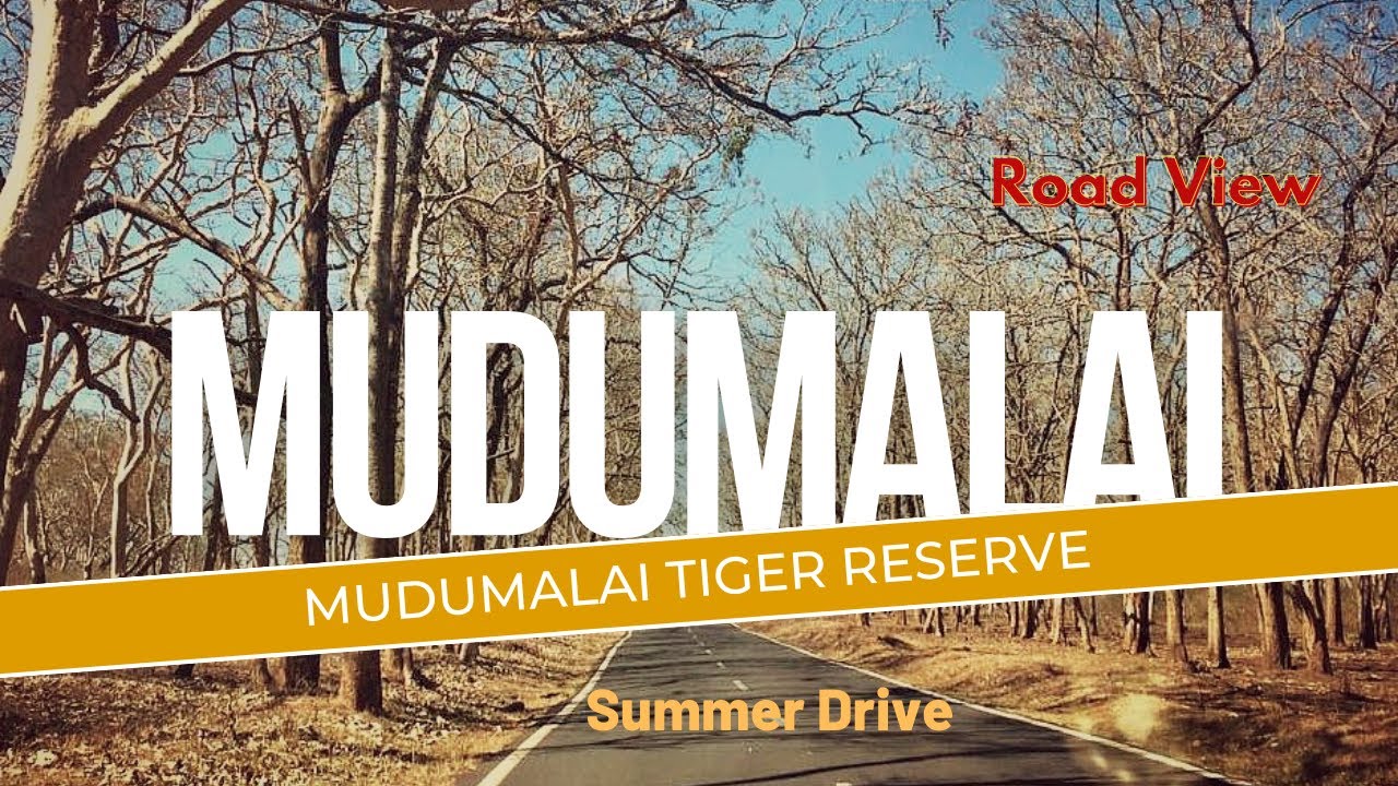 Summer Journey | Mudumalai to Ooty via Kalhatty Road - YouTube