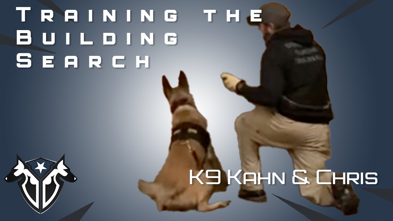 K9 Building Search Training with K9 Kahn - Complete Canine Training - YouTube