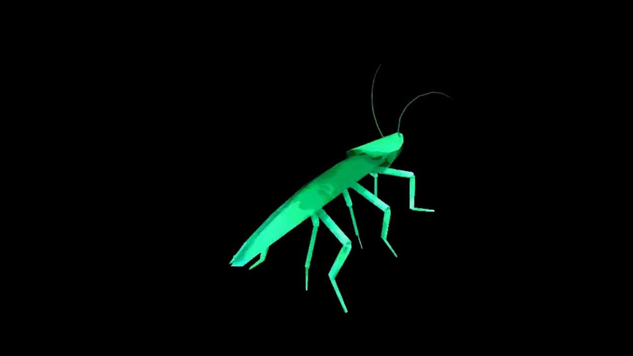 Rainbow Cockroach Dancing 10 HOURS - YouTube