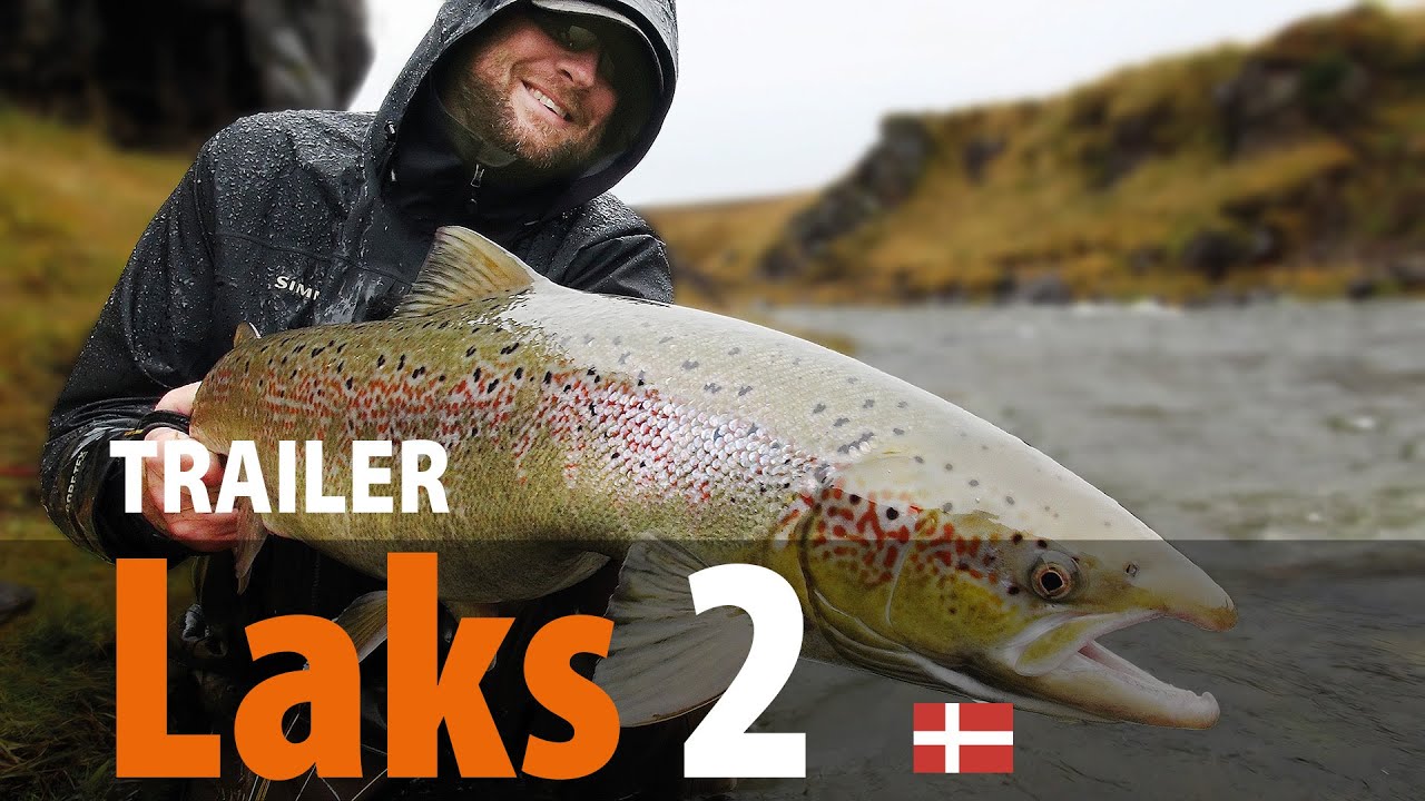 Laks 2 • Trailer - YouTube