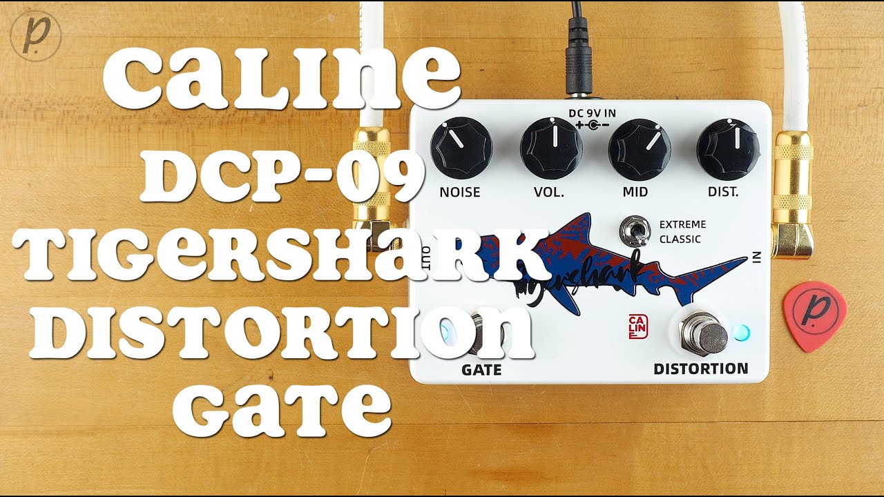 Caline DCP-09 Tigershark Distortion Gate - YouTube