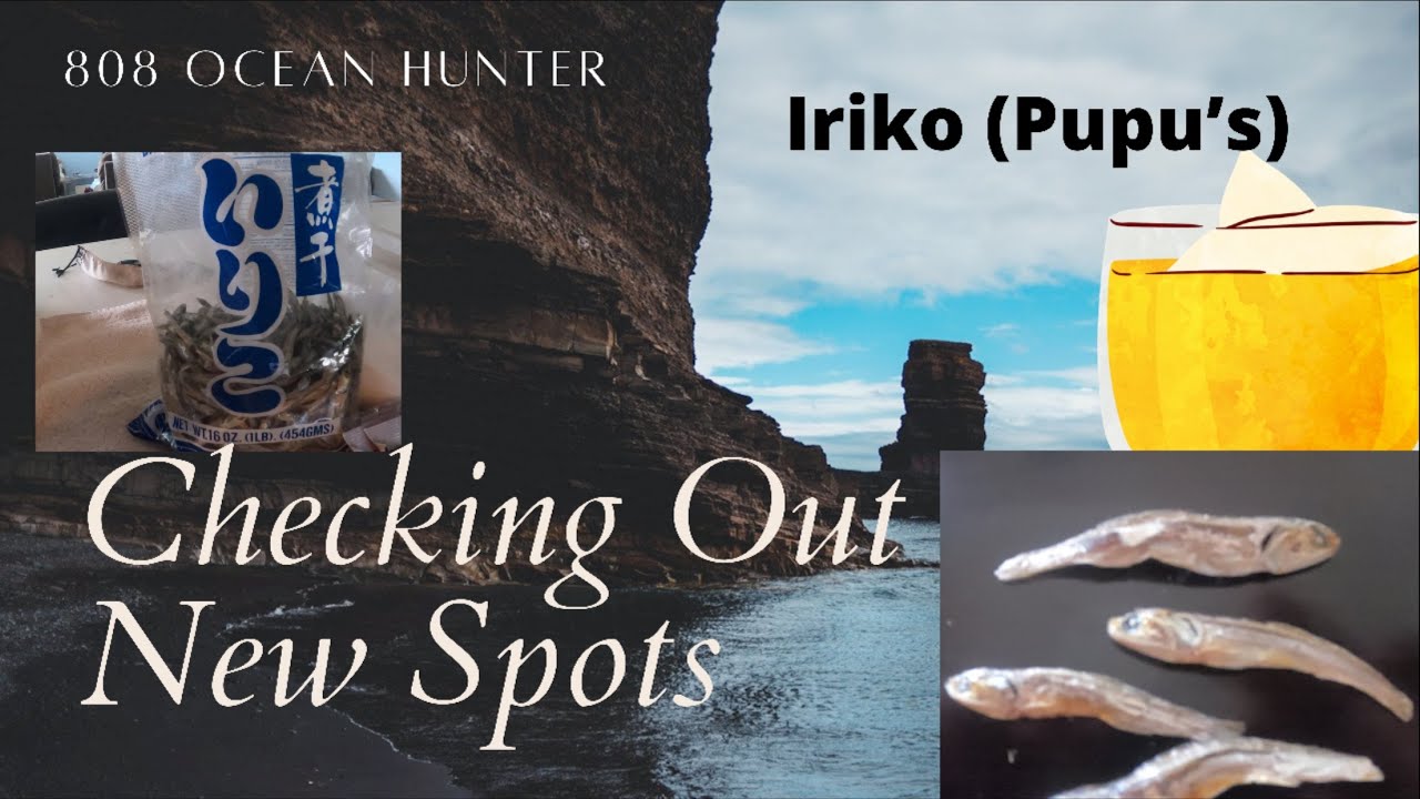Checking Out New Fishing Spots (Hawaii) Korean Style Fried Iriko Pupu ...