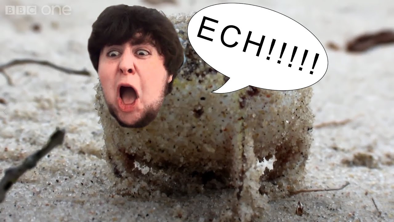 Angry Squeaking JonTron - YouTube