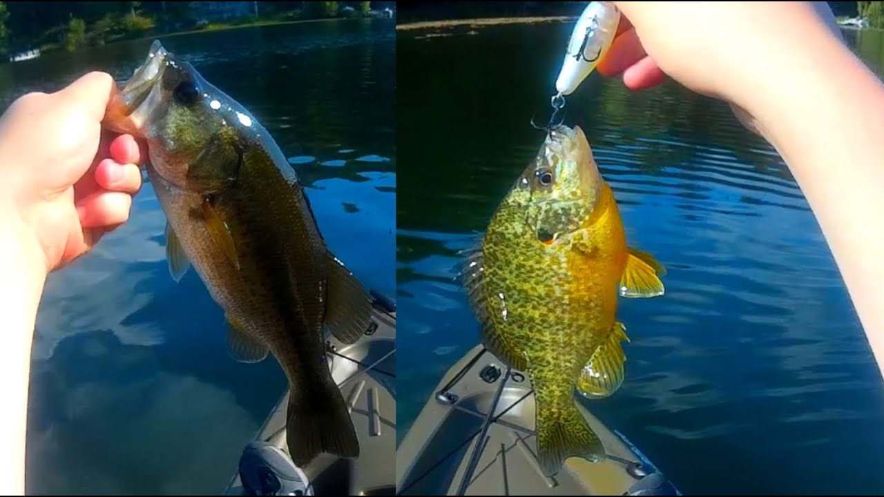 Catching Fish on the Bandit 200 Series Crankbait - YouTube
