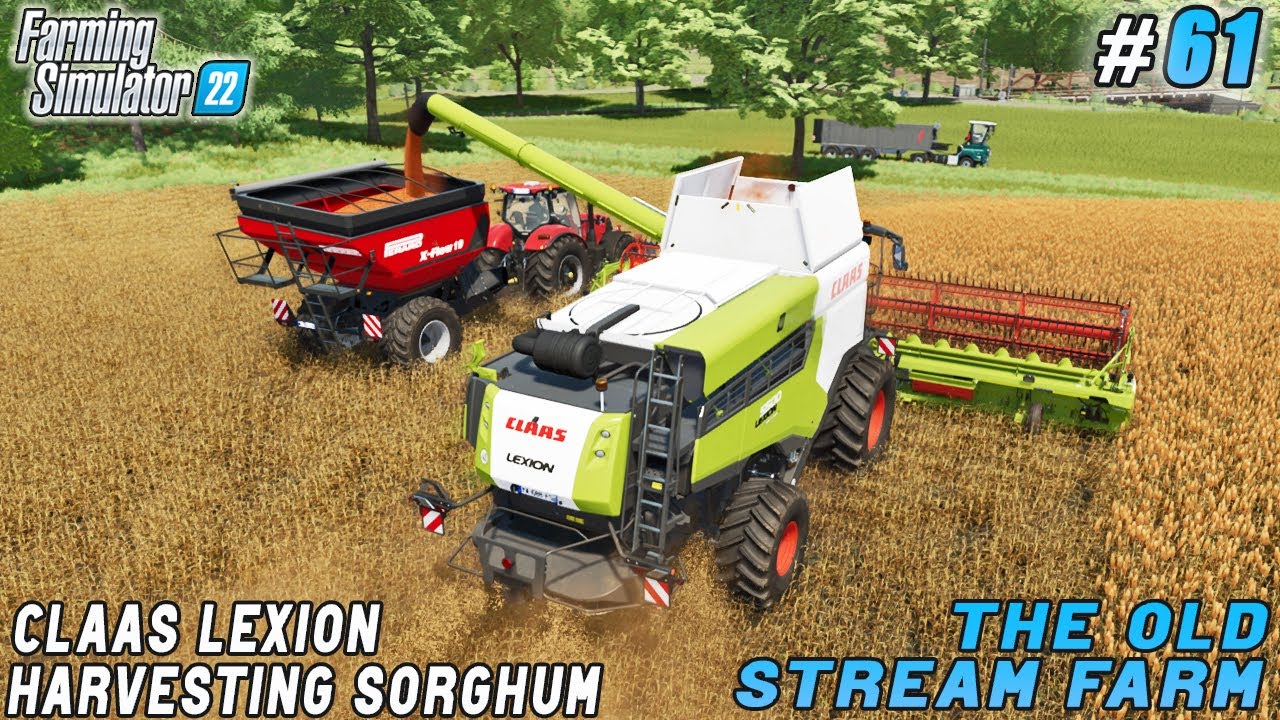 Harvesting sorghum with CLAAS LEXION 5500 combine | The Old Stream Farm ...