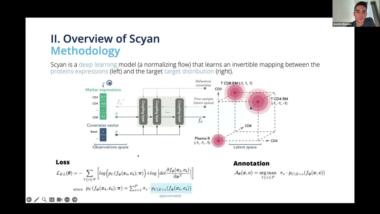 Scyan: a biology-driven deep generative model for cell type annotation in cytometry - YouTube