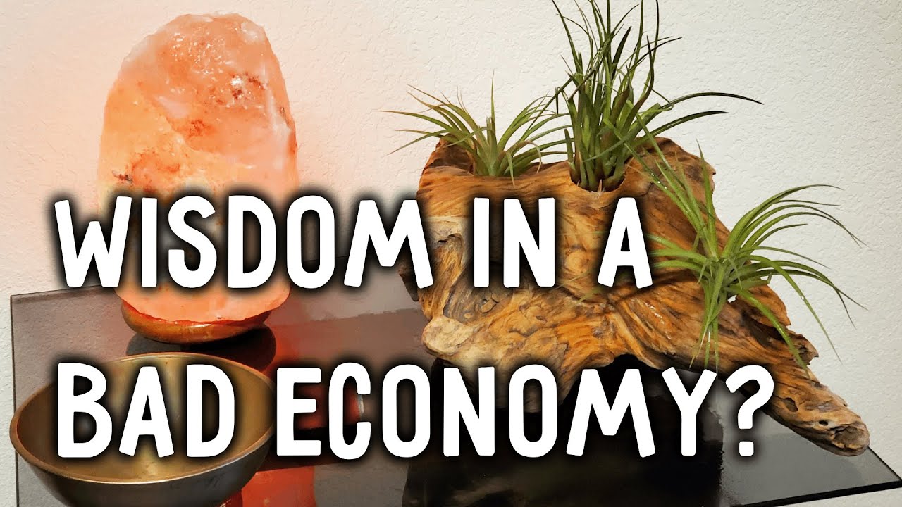 Wisdom for Handling Bad Macro Economic Conditions: Curb Unnecessary ...