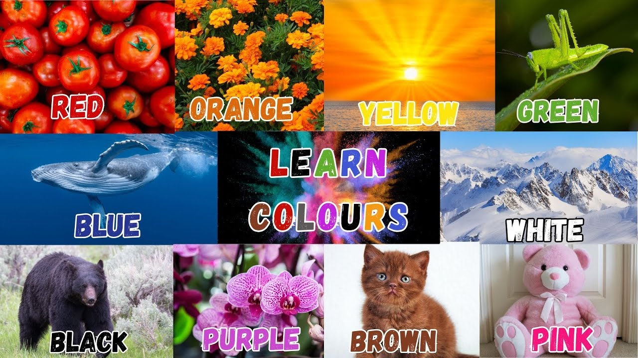 Color song for kids and toddlers | We Love all the Colors |Nursery ...