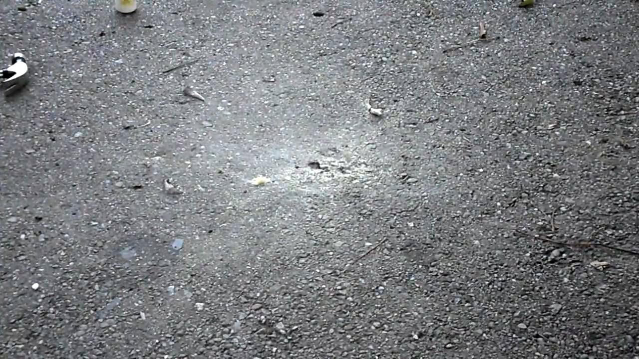 Explosion due to hammer action of Potassium Chlorate and Sulfer - YouTube