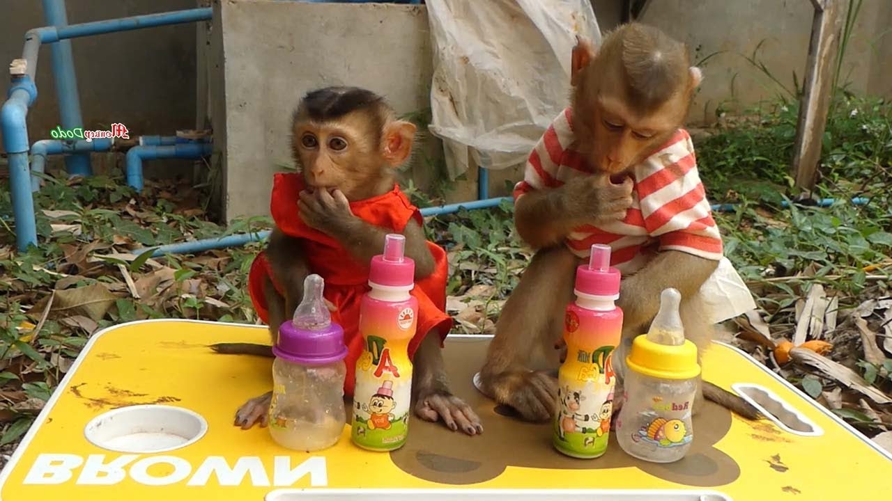 Mum So Late Come To Prepare Milk, Butt Jenna Shusy Sitting Orderly ...