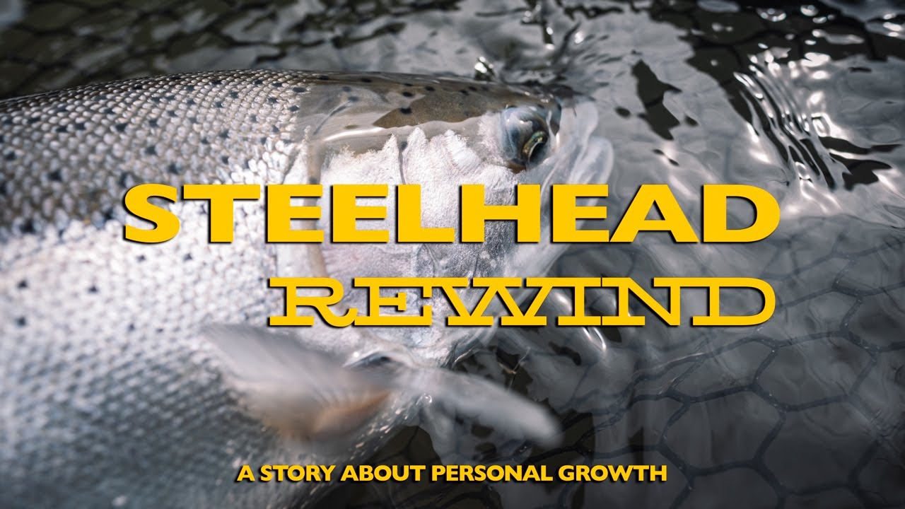 STEELHEAD REWIND | A Look Back on a Year of Fly Fishing For Steelhead ...
