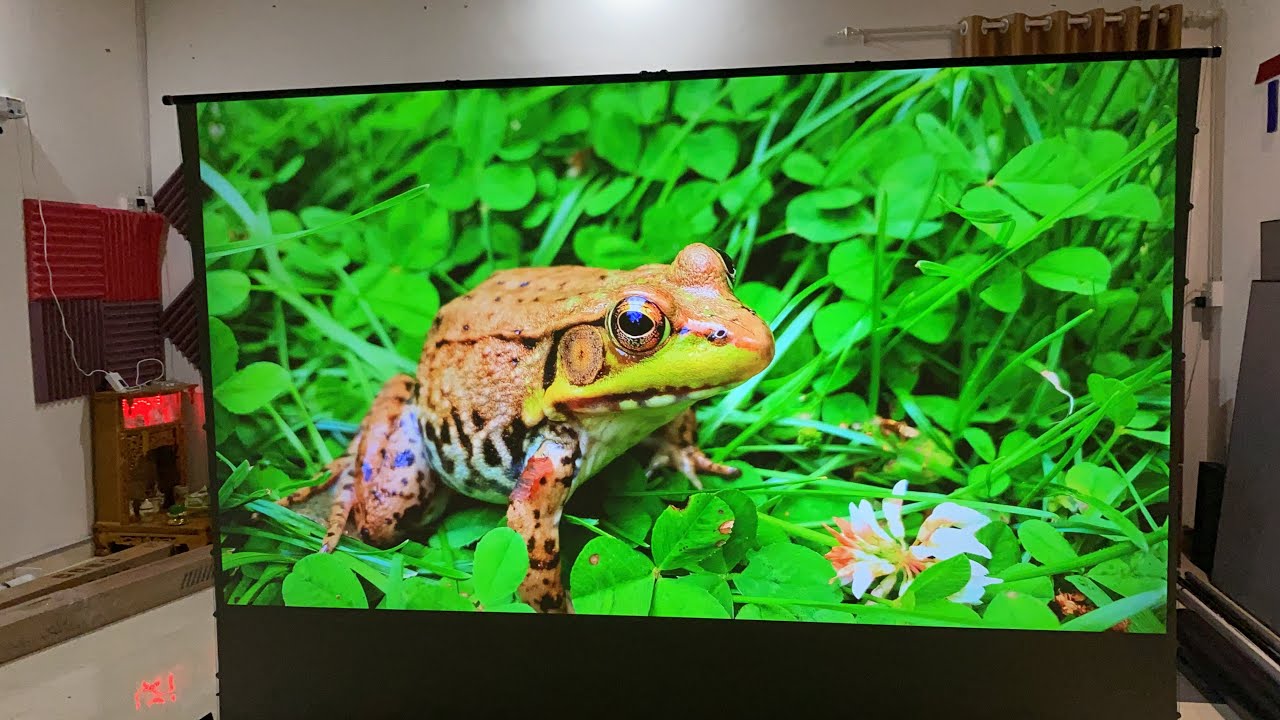 Optoma i5+ và màn chiếu để sàn 120 inch - YouTube