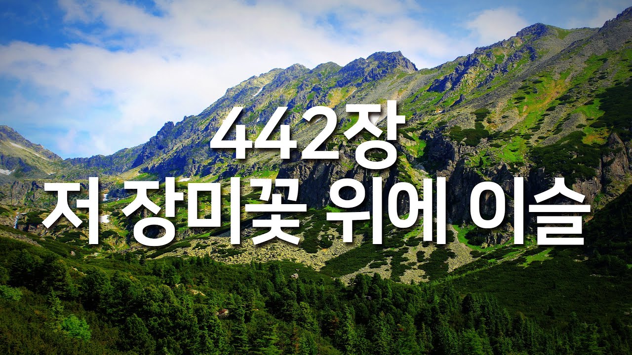 찬송가연속듣기 저 장미꽃 위에 이슬새찬송가 442장매일찬송 광고없는찬송가 찬송가베스트 찬송 찬송가 연속 듣기