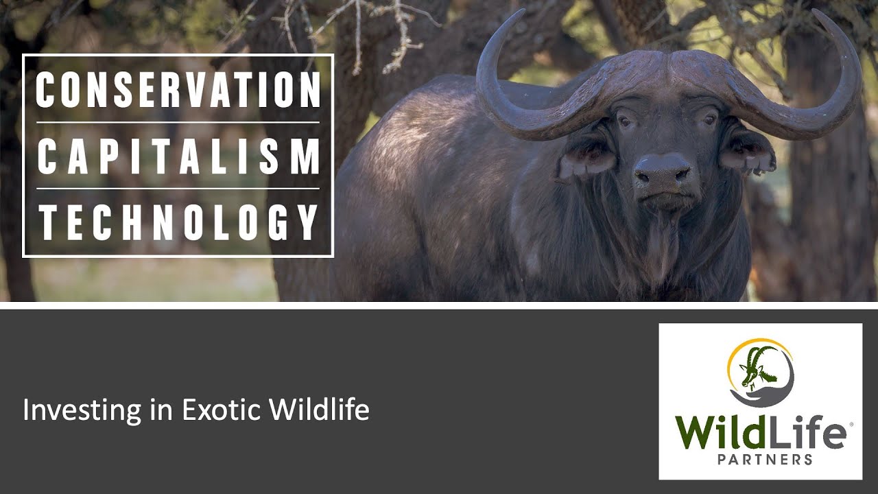 Investing in Exotic Wildlife, Brian Gilroy, May 6, 2023 - YouTube