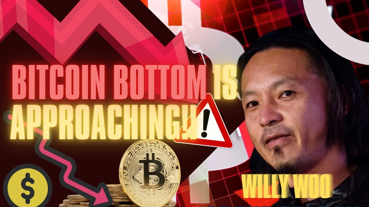 Bitcoin Price Analysis - Crypto Expert Willy Woo Bitcoin Bottom is just ...