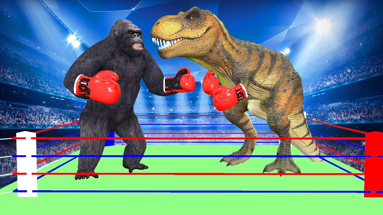 Animals Boxing Challenge Dinosaur Vs Gorilla Fight Funny Comedy Video ...