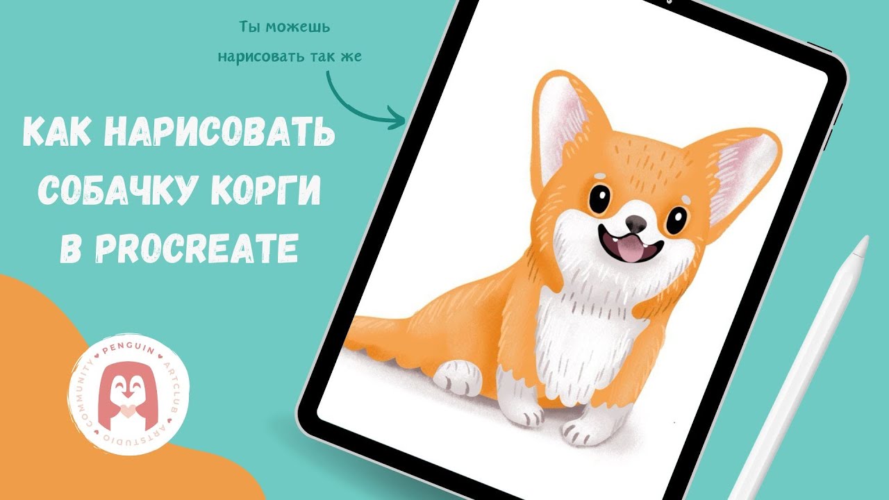 Как нарисовать милую собаку корги в Procreate всего за 20 минут Пошаговый урок Youtube