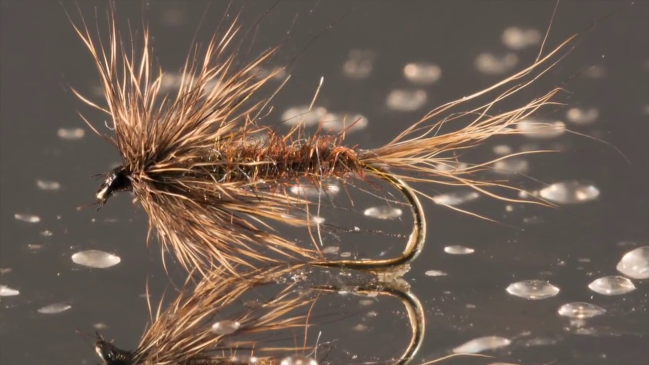 March Brown - YouTube