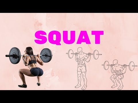 Squat Nedir?