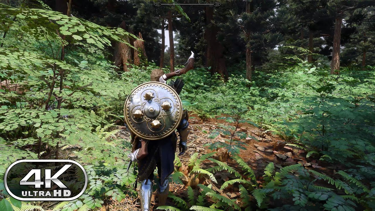 Skyrim SE 4K Ultra Modded Gameplay (4K 60FPS PC) - YouTube