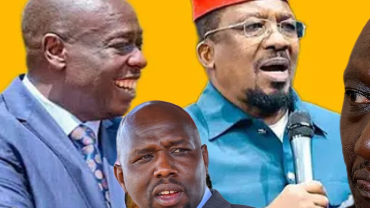 tiger joe tv live - YouTube