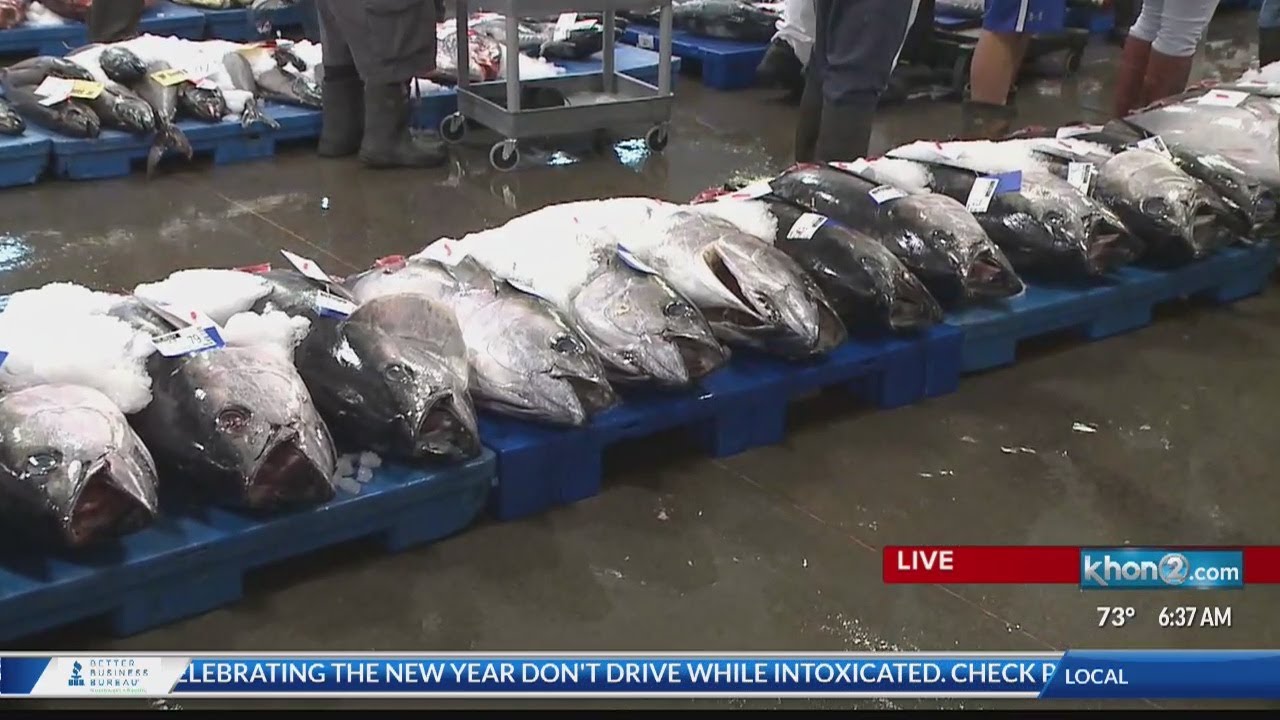 Honolulu Fish Auction on New Year's Eve Pt 2 - YouTube