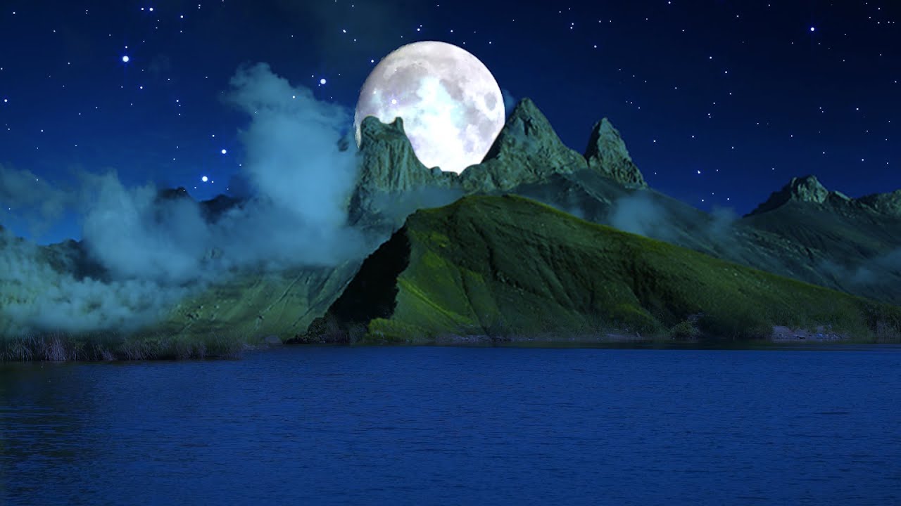 Night Forest Ambience | Cricket Sounds, Breezy Windy for Meditation ...