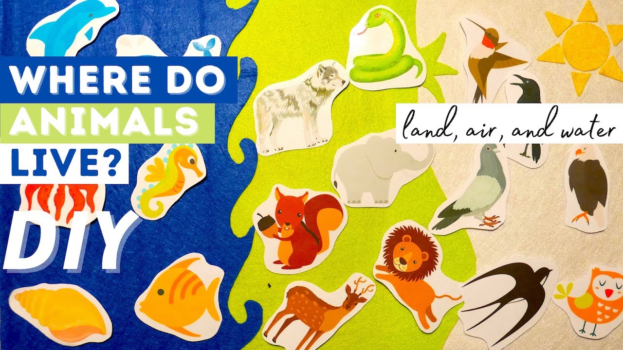 Where do animals live? Animals sorting that live on land, air and water ...