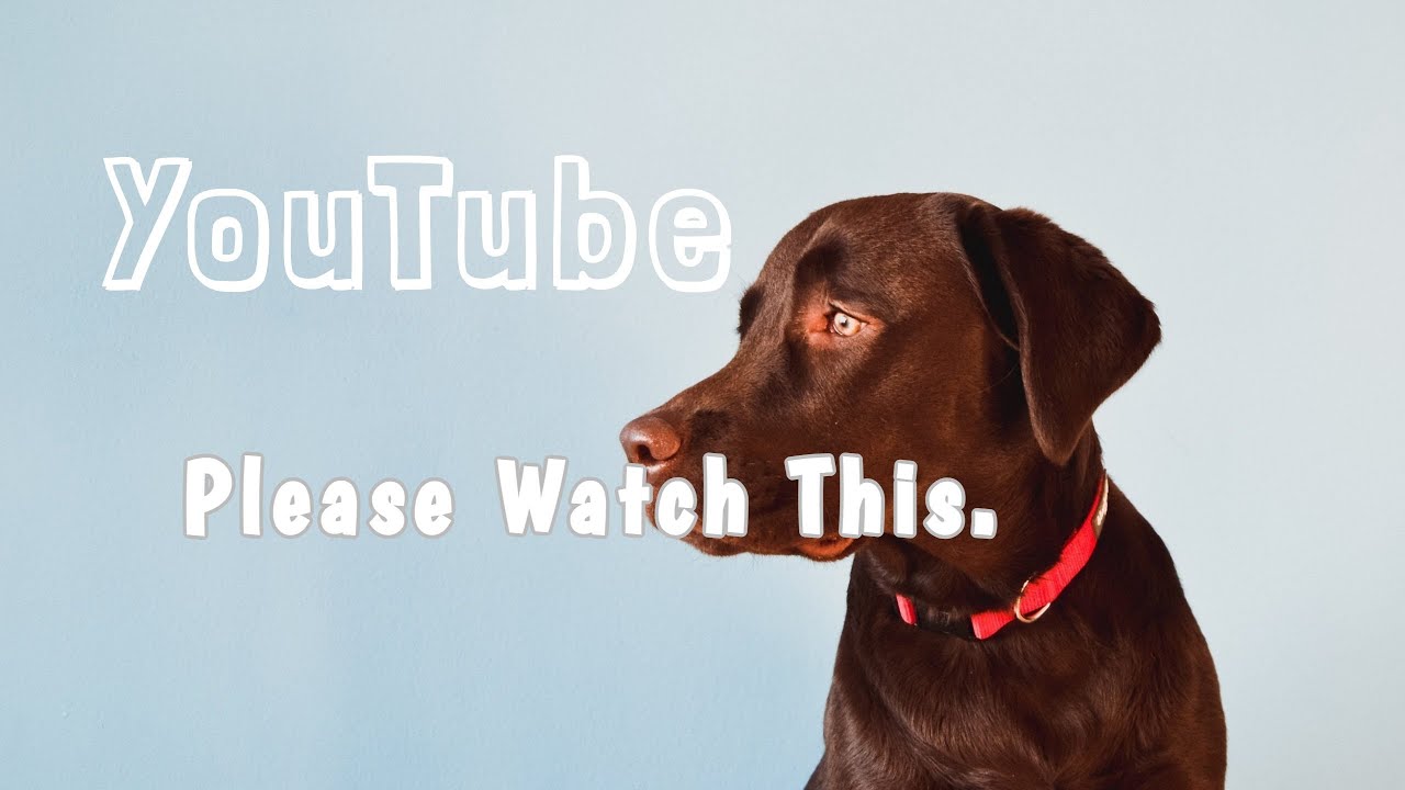 YouTube, watch this. - YouTube