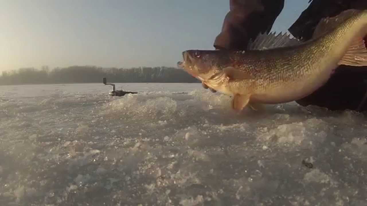 Mississippi River Ice Magnum Perch & Walleye - YouTube