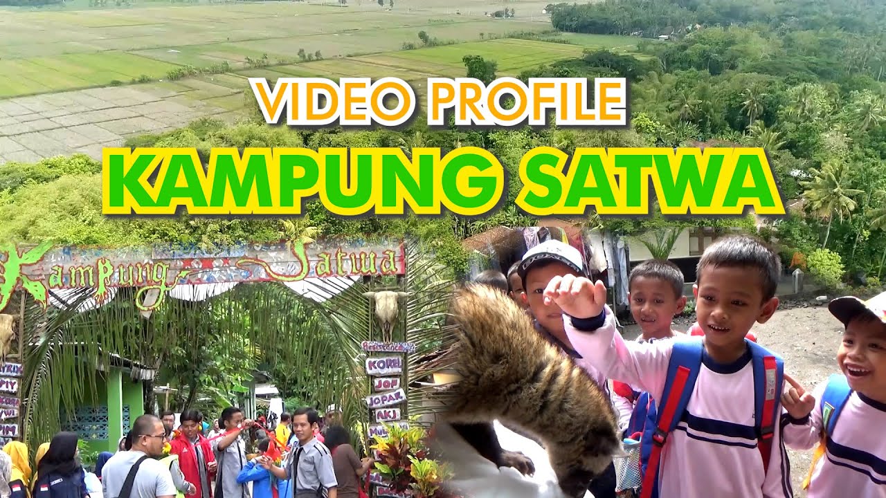 VIDEO PROFILE KAMPUNG SATWA - YouTube