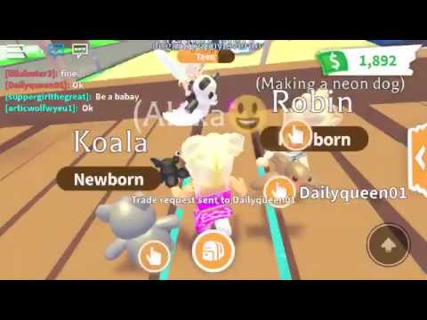Roblox - Newborn Koala - YouTube