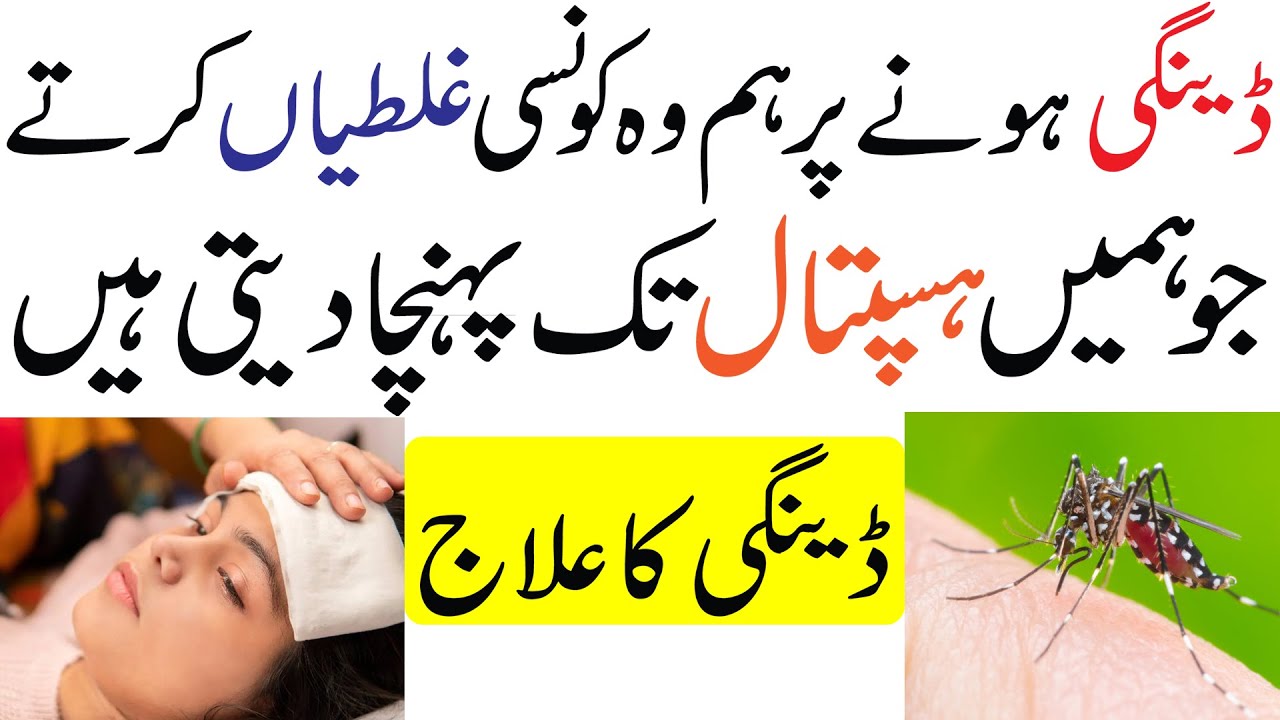 Dangi ka Ilaj | Dangi ki Alamat | Dangi machar ki Pehchan | Papaya leaf ...